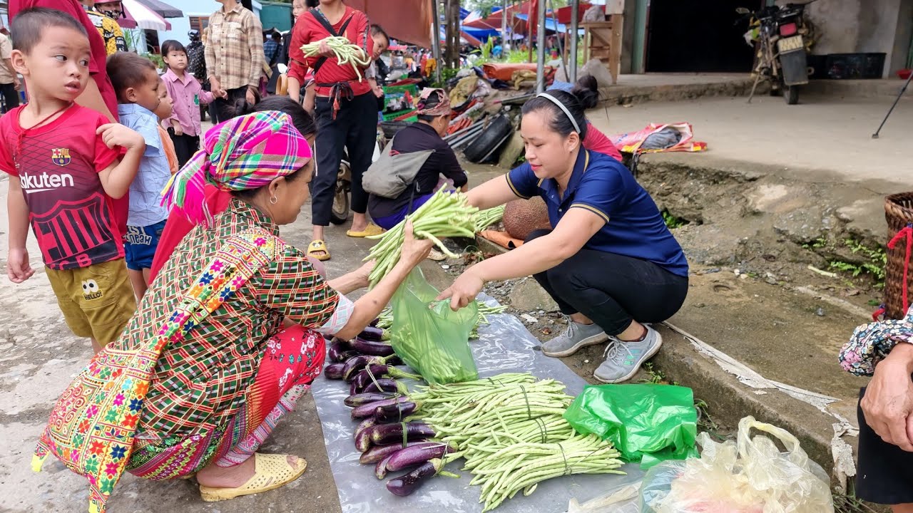 Long Bean Harvest And Eggplant Goes To The Market To Sell Lý Thị Ca Youtube