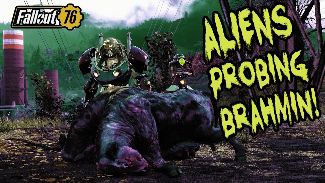 Fallout 76: Aliens are Probing the Brahmin! - YouTube