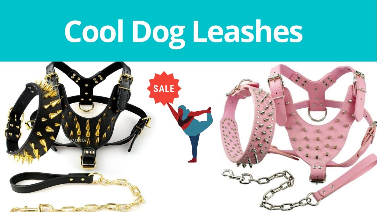 Cool Dog Leashes | Strong, Adjustable And Reflective Dog Leashes - YouTube
