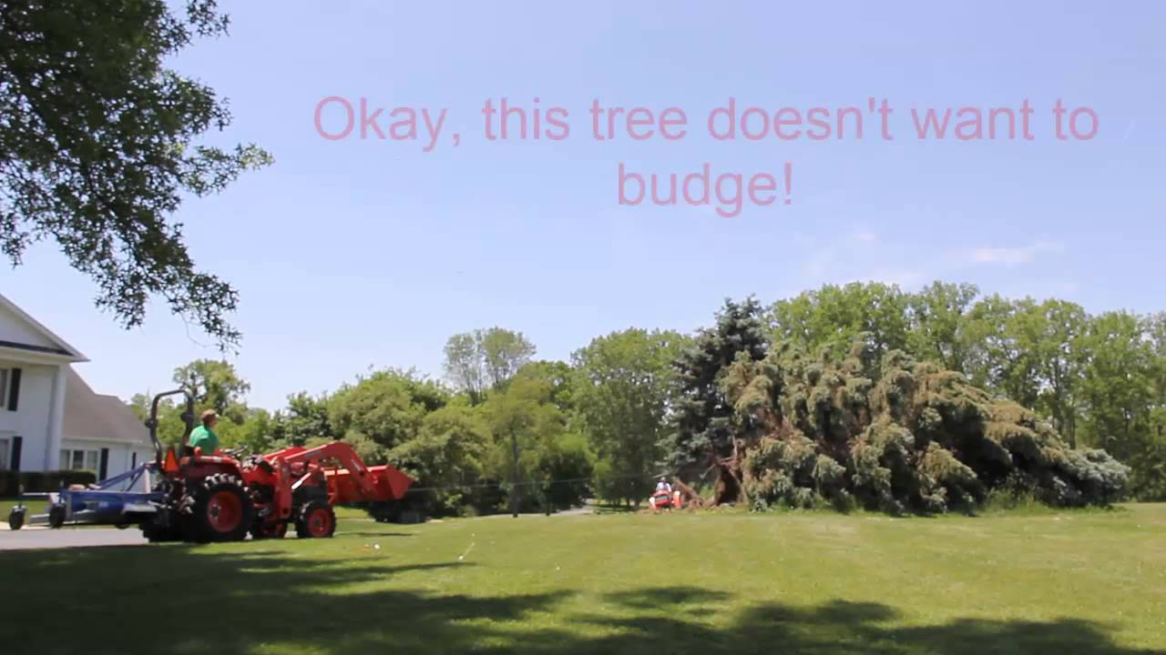 Lifting a Tree - YouTube