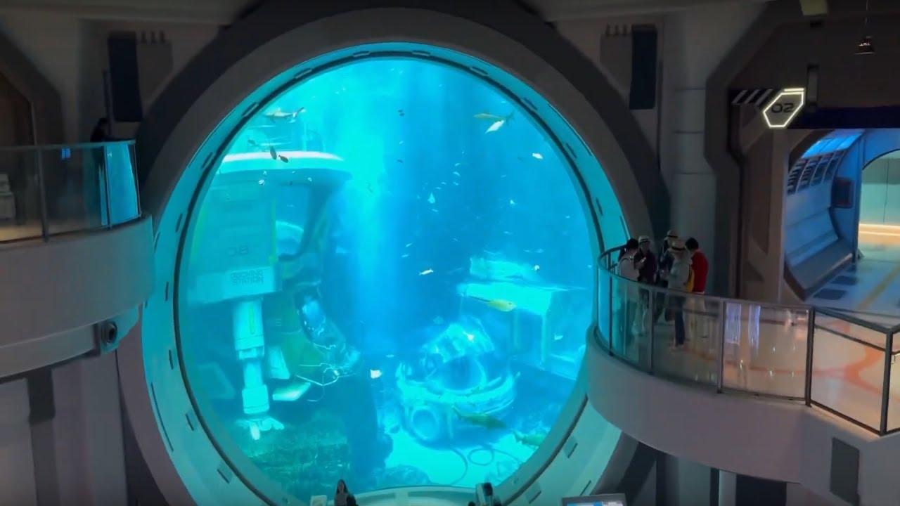 SeaWorld - Region's First Marine Life Theme Park — Abu Dhabi, UAE - YouTube