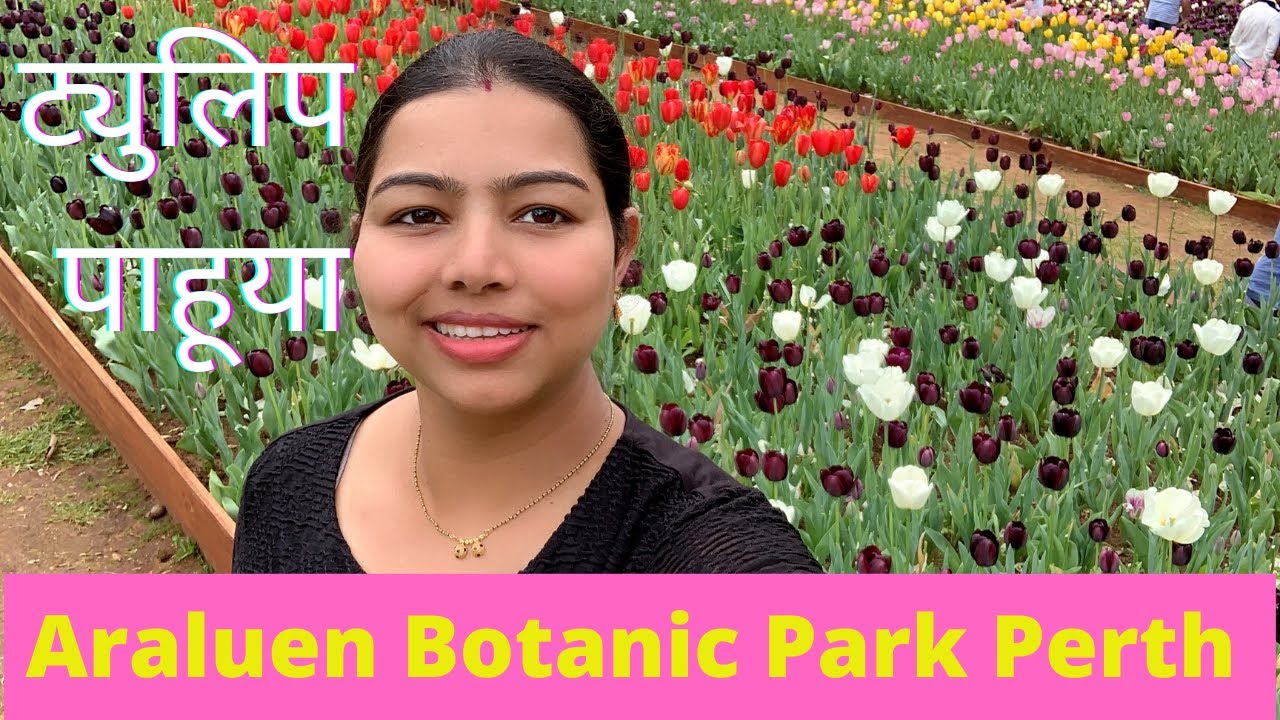 (Araluen Botanic Park) Perth | Tulip garden in Australia | Marathi ...