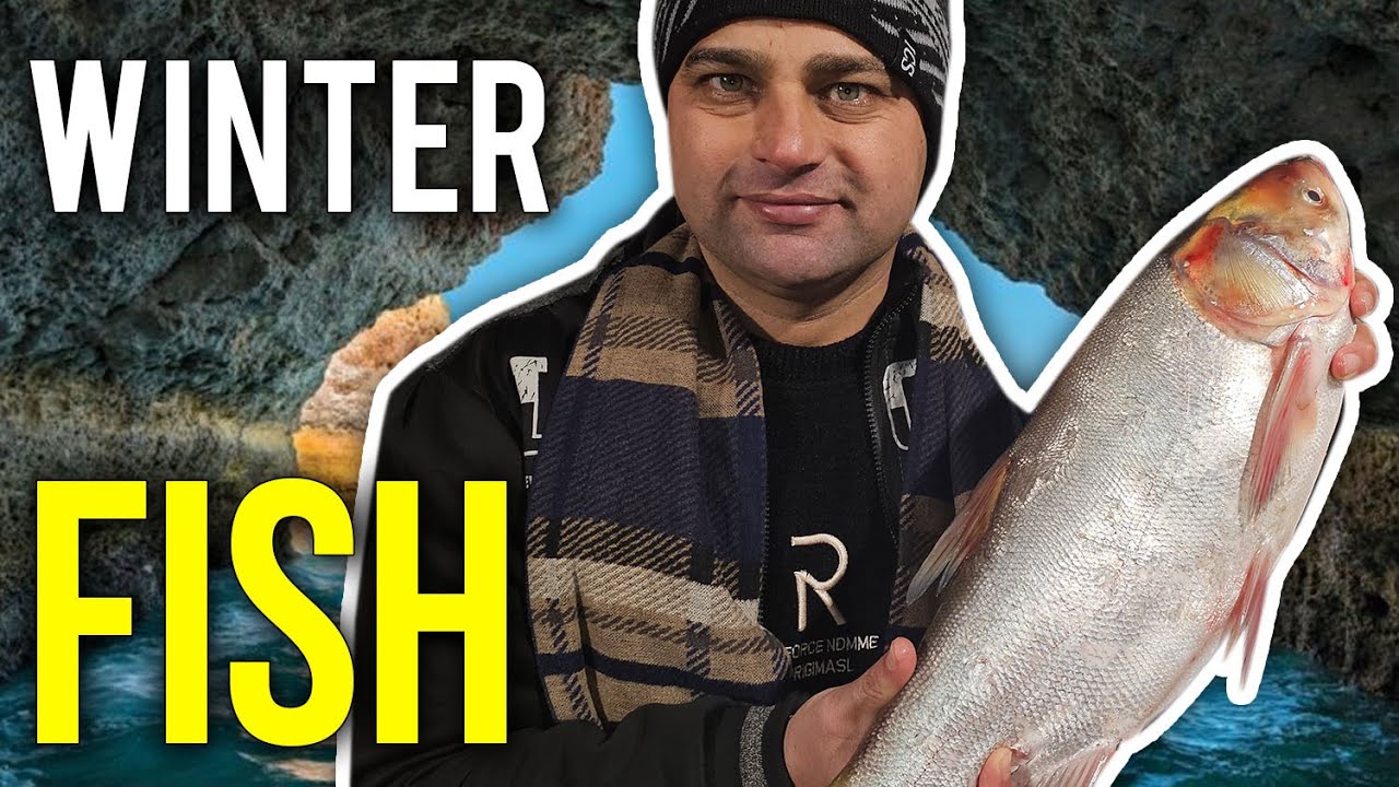 FISH SHOPPING for My POND!! BUYING EVERY FISH from This PET STORE ...