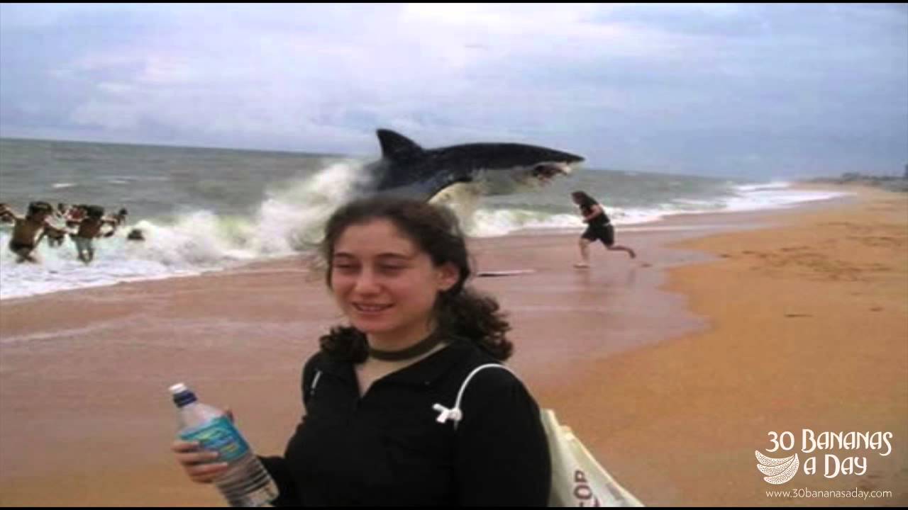 German Backpacker Shark Attack On Australian Beach : real or fake ...