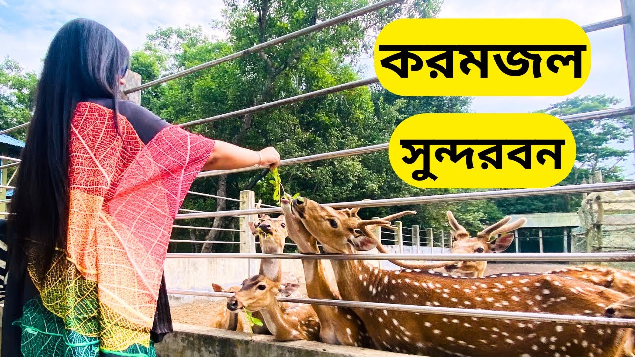 Day Tour in Sundarban - Koromjol || করমজল - সুন্দরবন || সুন্দরবন ভ্রমণ ...