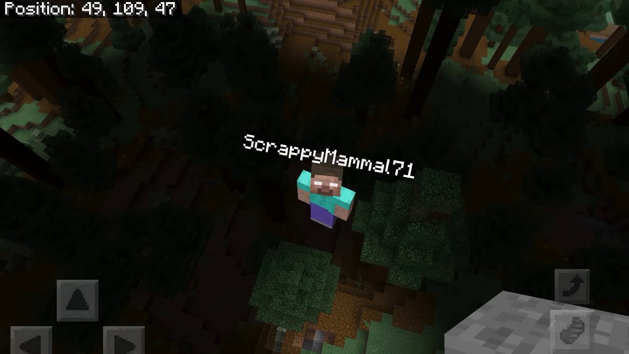 My friend glitches in minecraft - YouTube