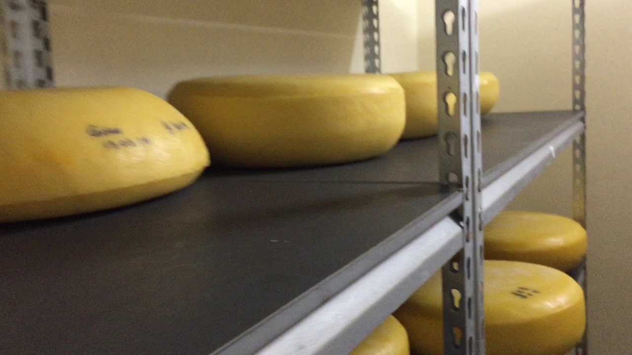 Dancu cheese, produced in Moldova - YouTube