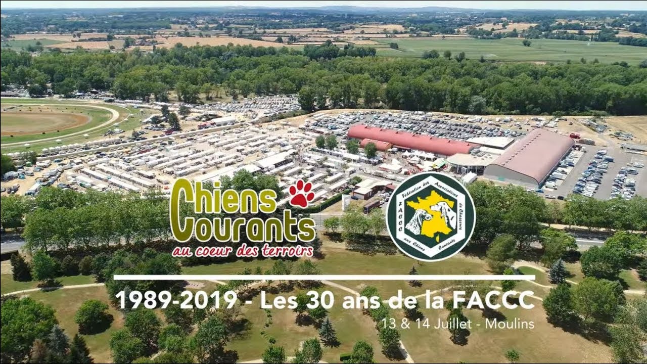 20190713 FACCC 30Ans retrospective 720p - YouTube