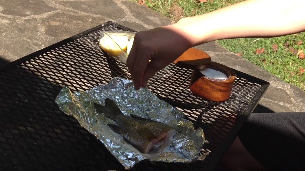 Catch And Cook - YouTube