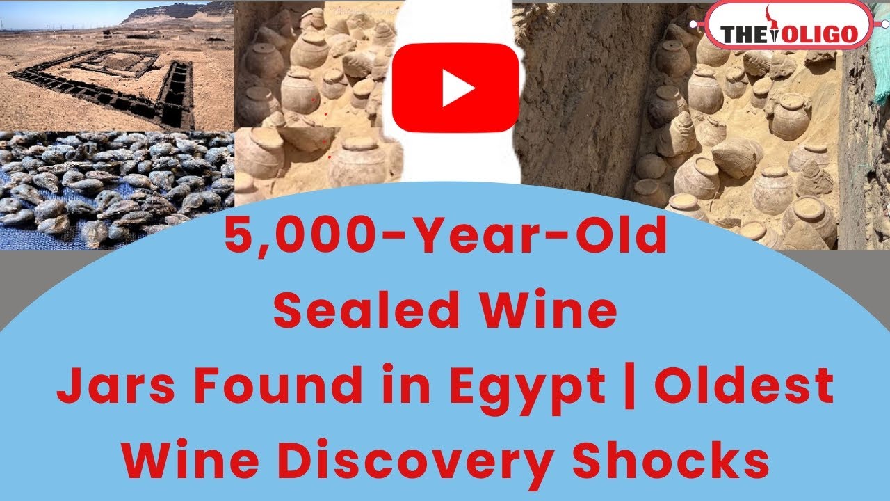 Ancient Wine Discovery Egypt: 5000-Year-Old Sealed Wine Jars Reveal ...