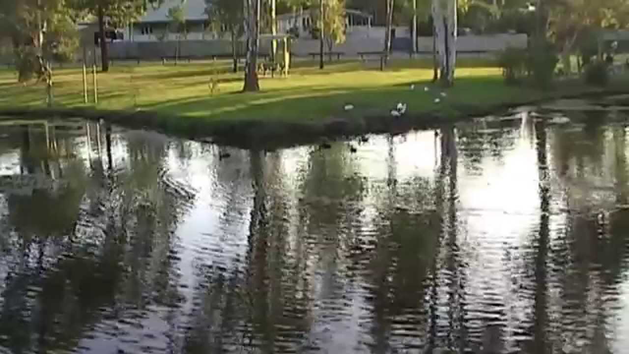 Les Atkinson Park Sunnybank - YouTube