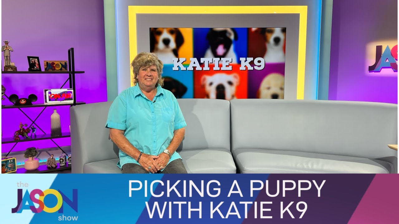 Choosing the right puppy, dealing with obedience and audience questions ...