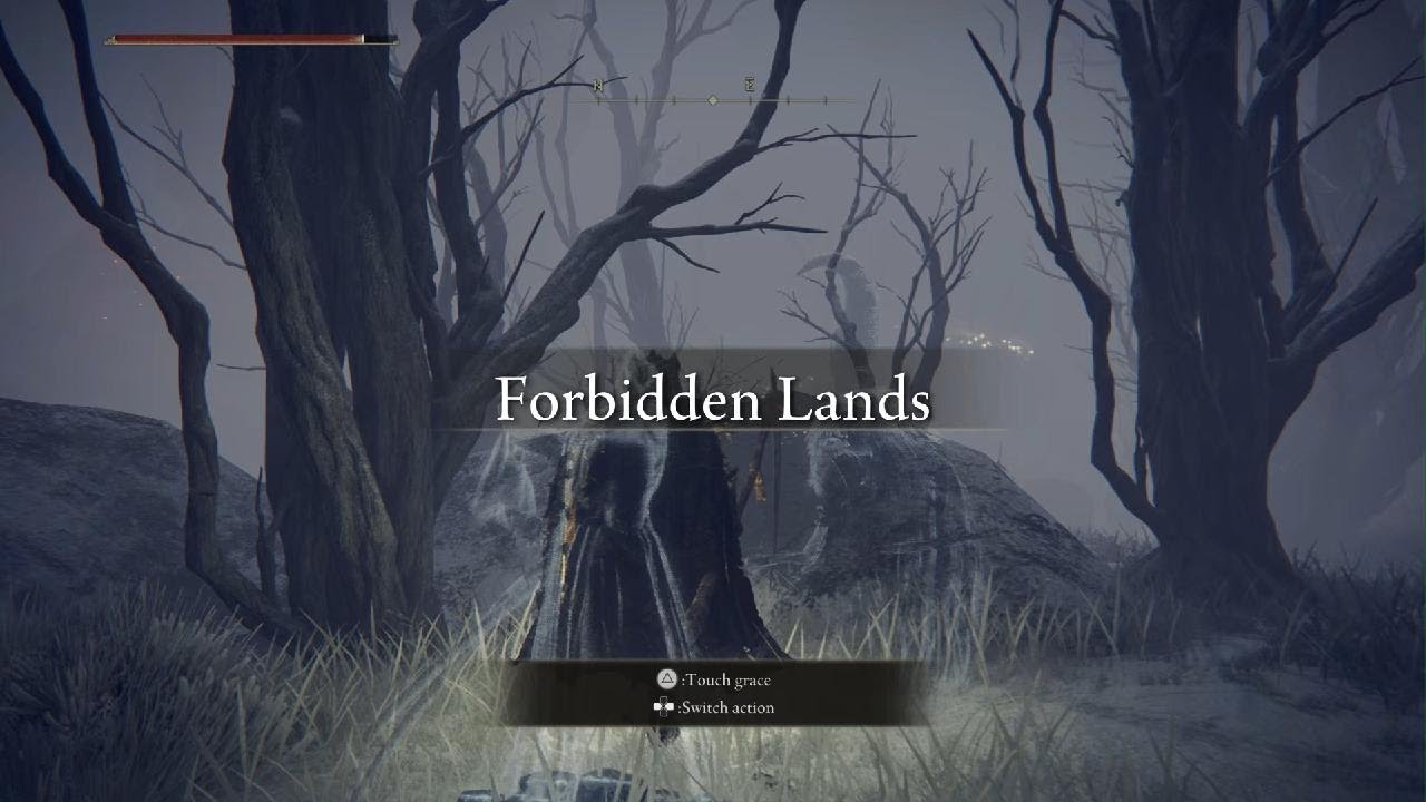 ELDEN RING How to get to Forbidden Lands - YouTube
