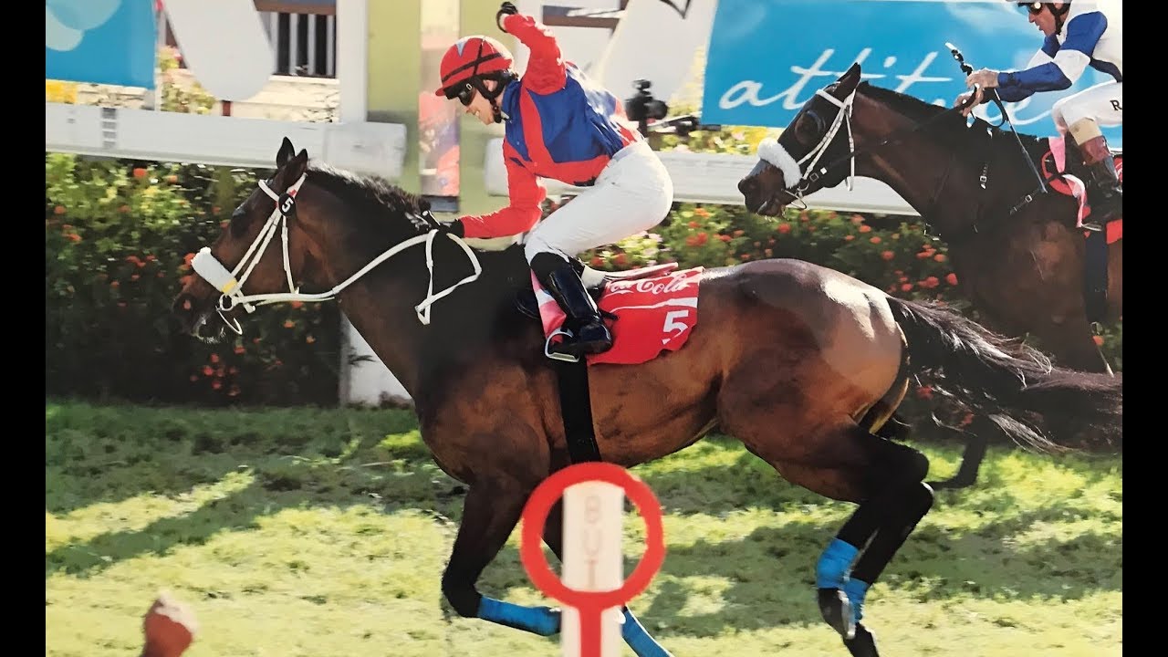 Mauritius International Jockeys Weekend: Race 7 - TANJIRO - (Miss ...