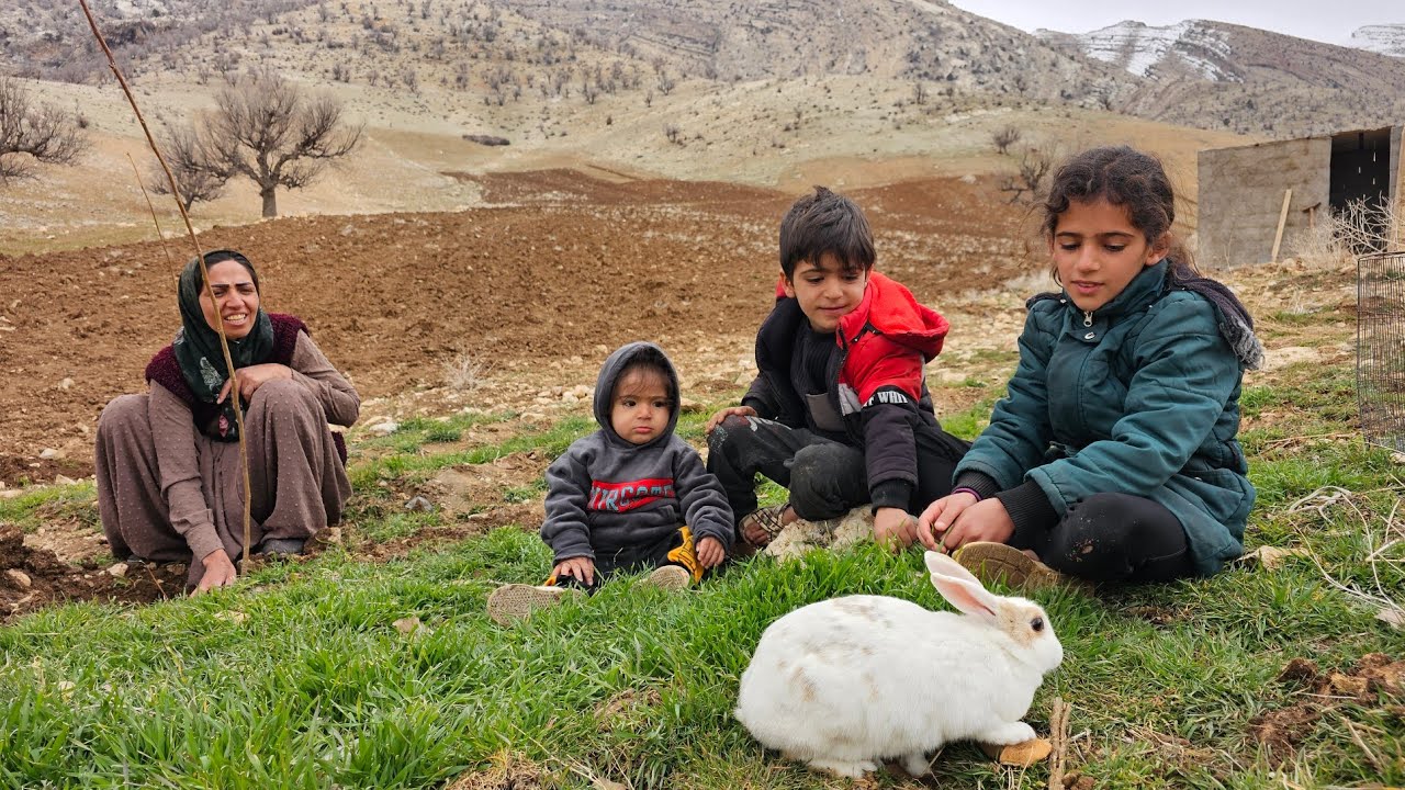 The inspiring journey of a nomadic family: from mountain life to ...