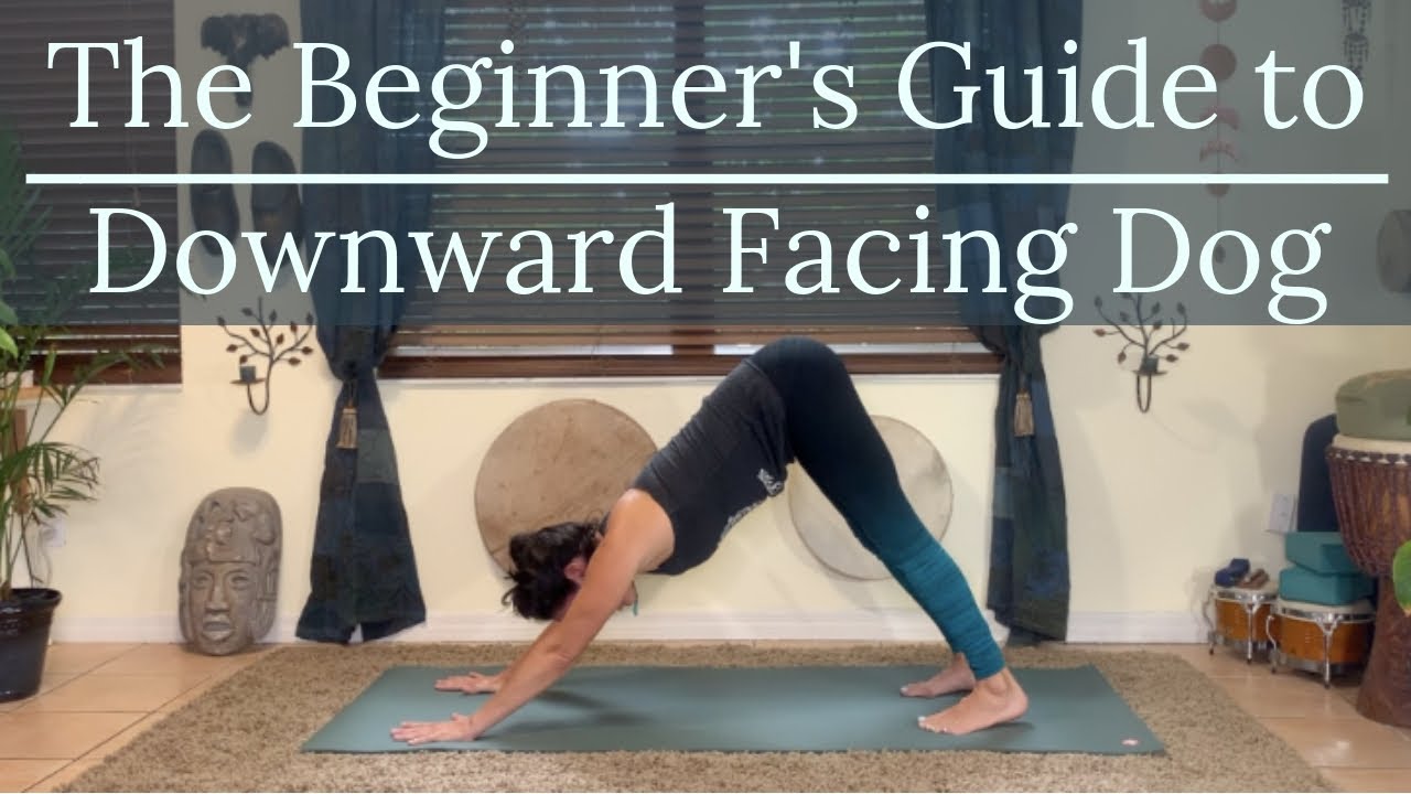 The Beginners Guide to Downward Facing Dog - YouTube