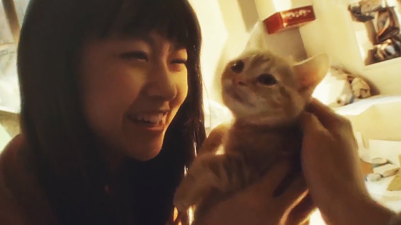 Gravity Rush 2 - Gravity Cat Live Action Trailer FR - YouTube