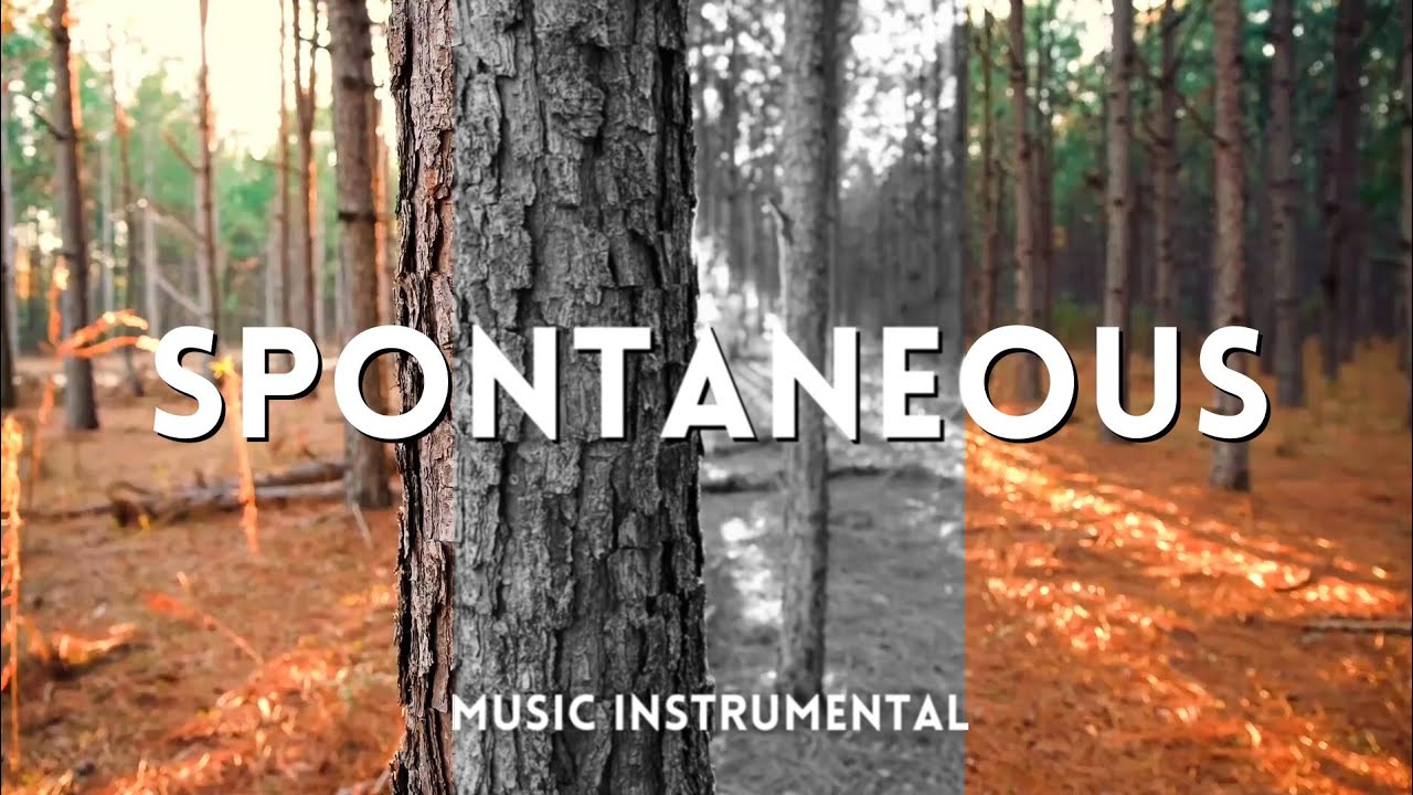 Spontaneous Music Instrumental Worship / Fundo Musical 2021 - YouTube