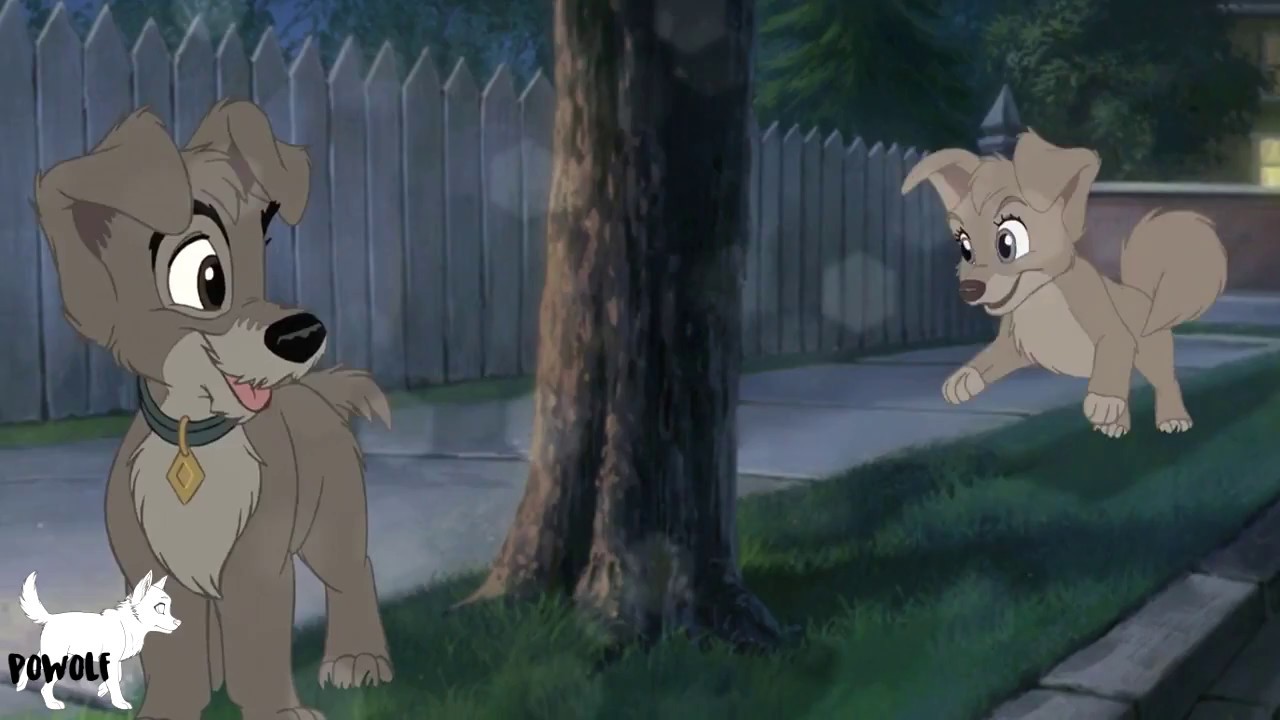 Angel & Scamp - Angel (Music Video) - YouTube