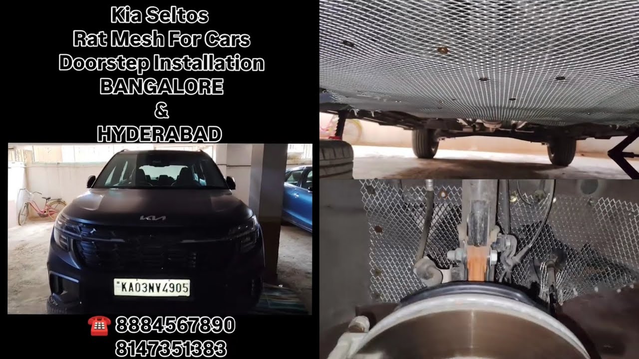 Kia Seltos / Rat mesh for cars | Door step installation | ☎️ 8884567890 ...