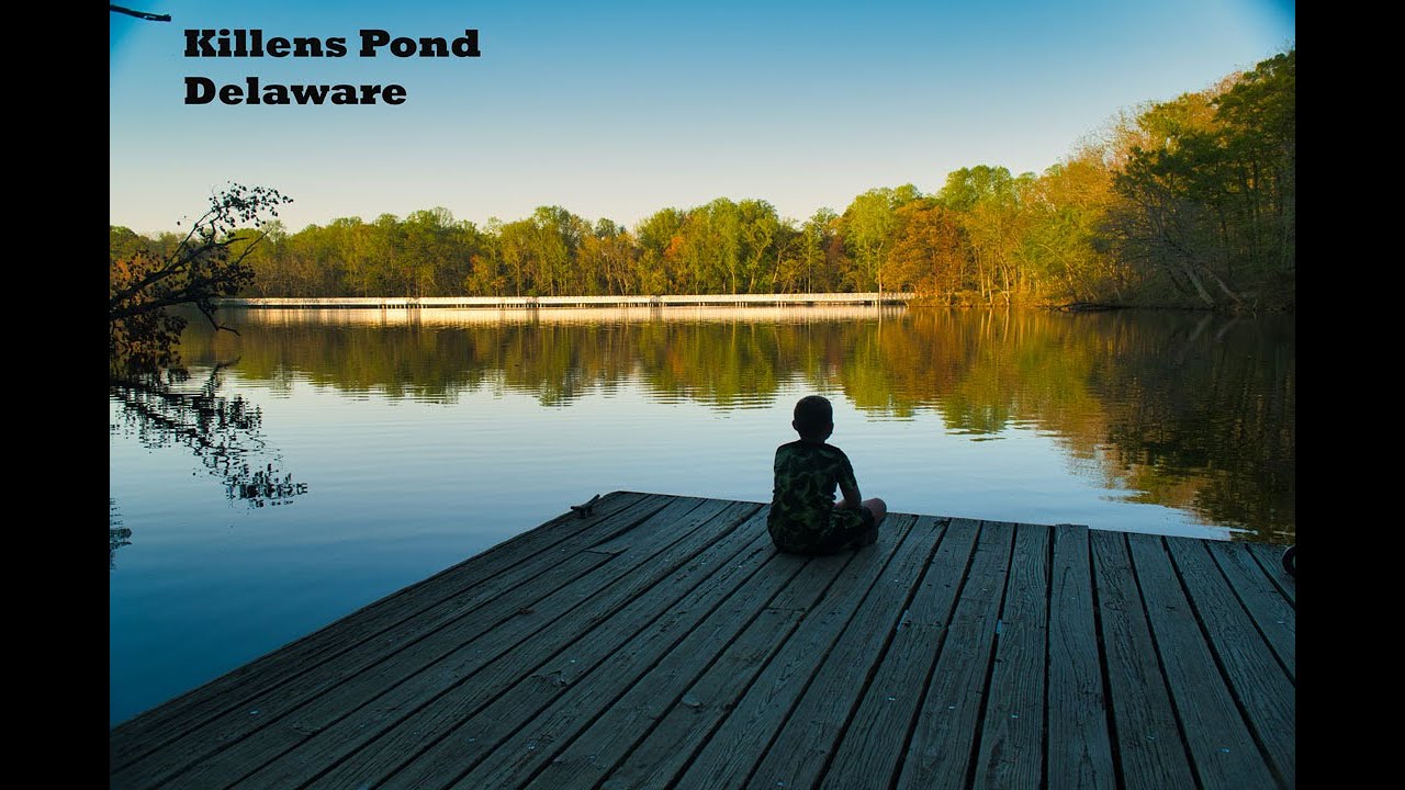 Exploring Killens Pond: A Nature Lover's Paradise - YouTube