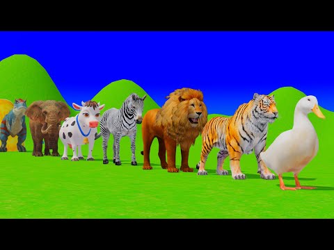 Long Slide Game with Tigers Lion Cow Hippopotamus Gorilla 3d Animal Game Funny 3d Animals
