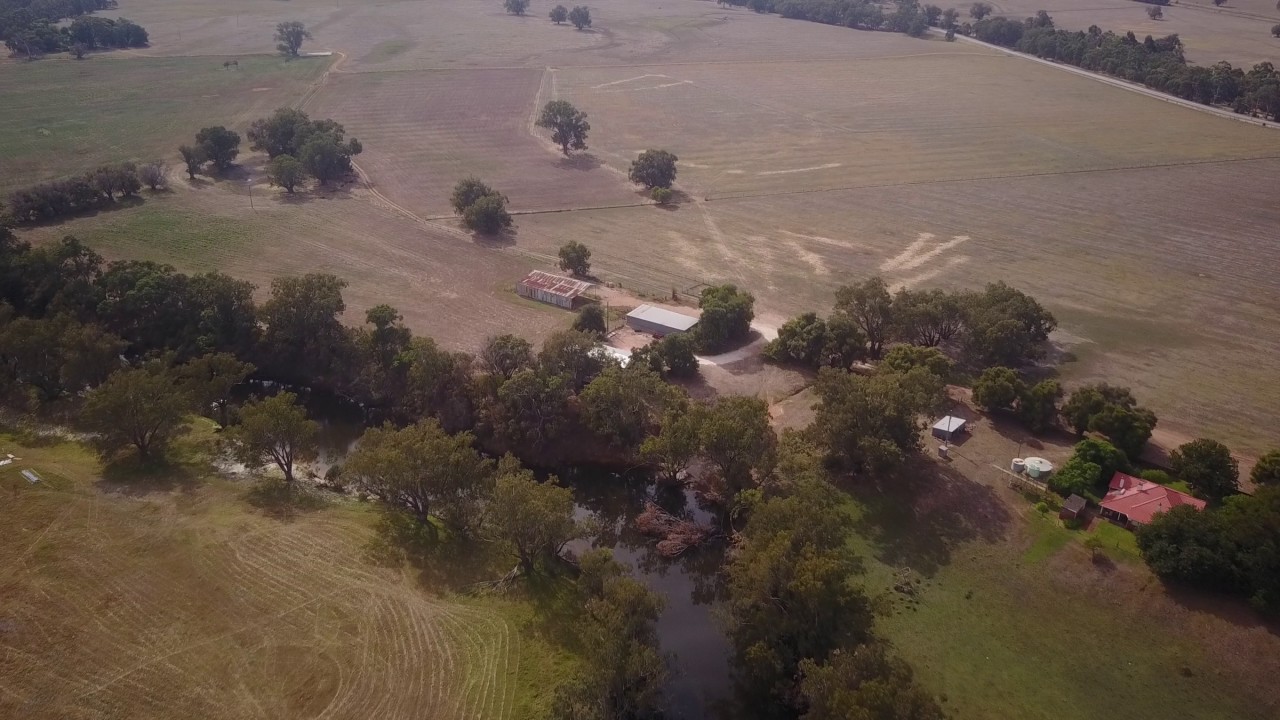 Murray River Pinjarra - YouTube