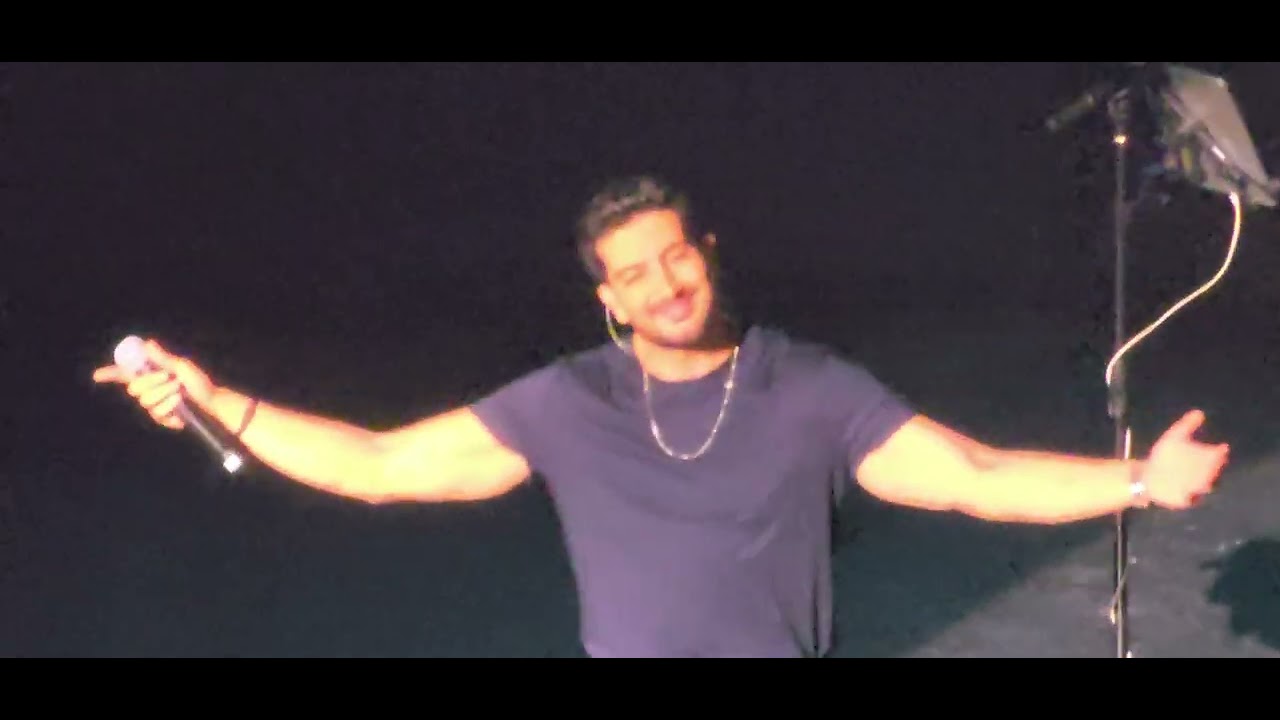 Farzad Farzin concert in Redwood City 2024 - YouTube