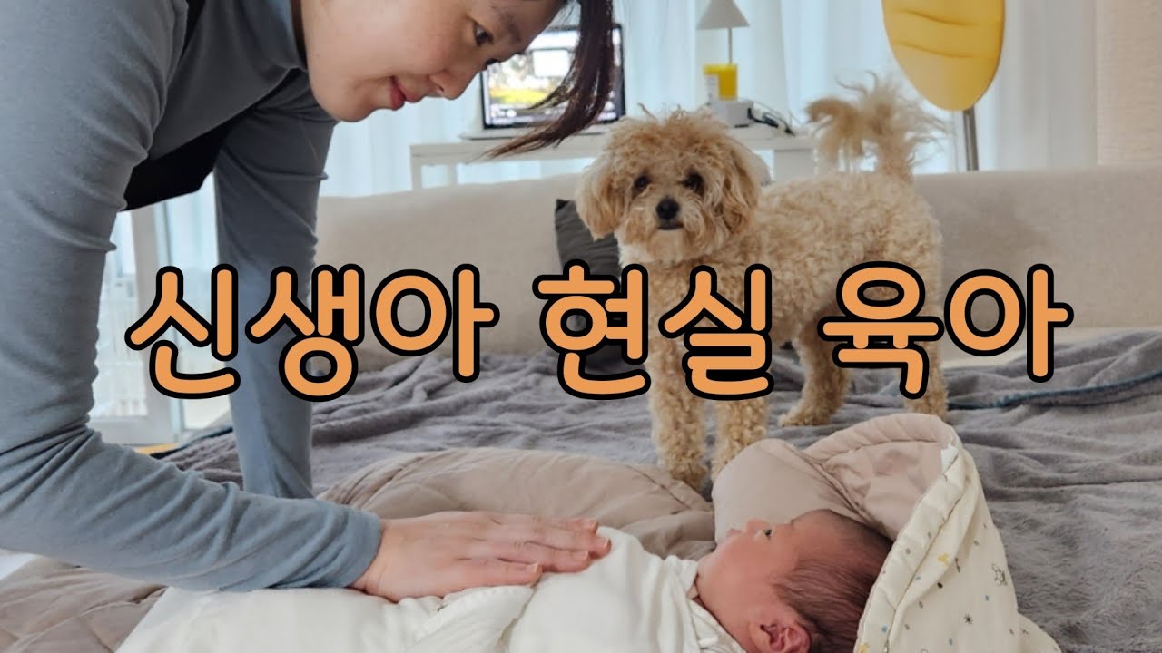 육아 브이로그 초보 엄마 아빠의 밤샘 현실 육아🥵 타지살이 맞벌이 부부의 독박 육아‼️ 신생아 육아 브이로그 조리원 퇴소