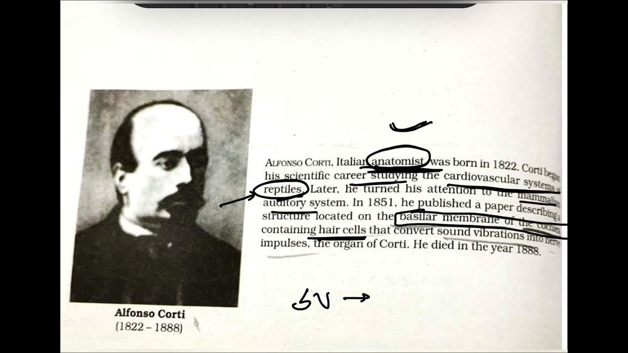 ALFONSO CORTI || SCIENTIST A MINUTE - YouTube