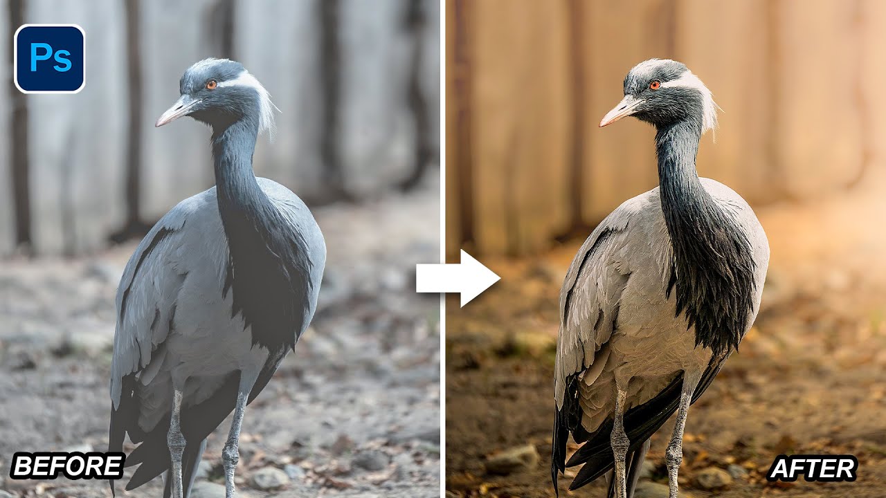 Color Grade Muted Color Photos Like a Pro Using Masking in Photoshop ...