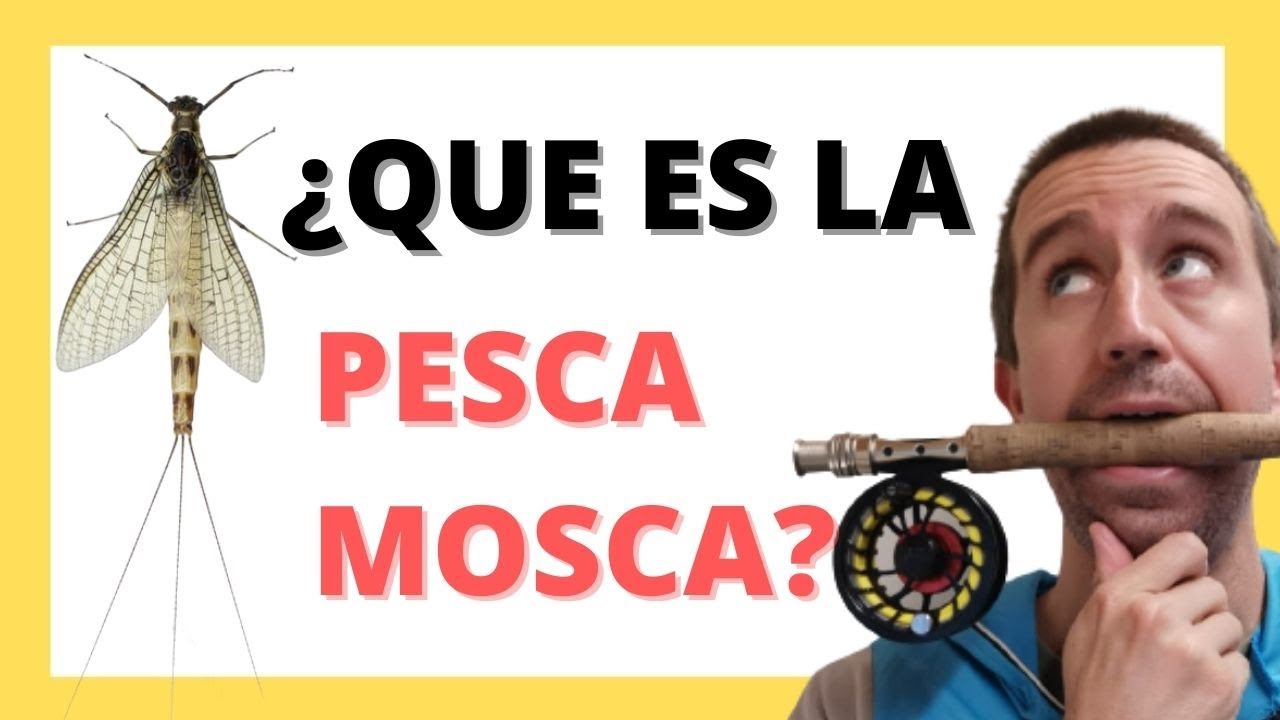 ¿Qué es la PESCA CON MOSCA? - YouTube