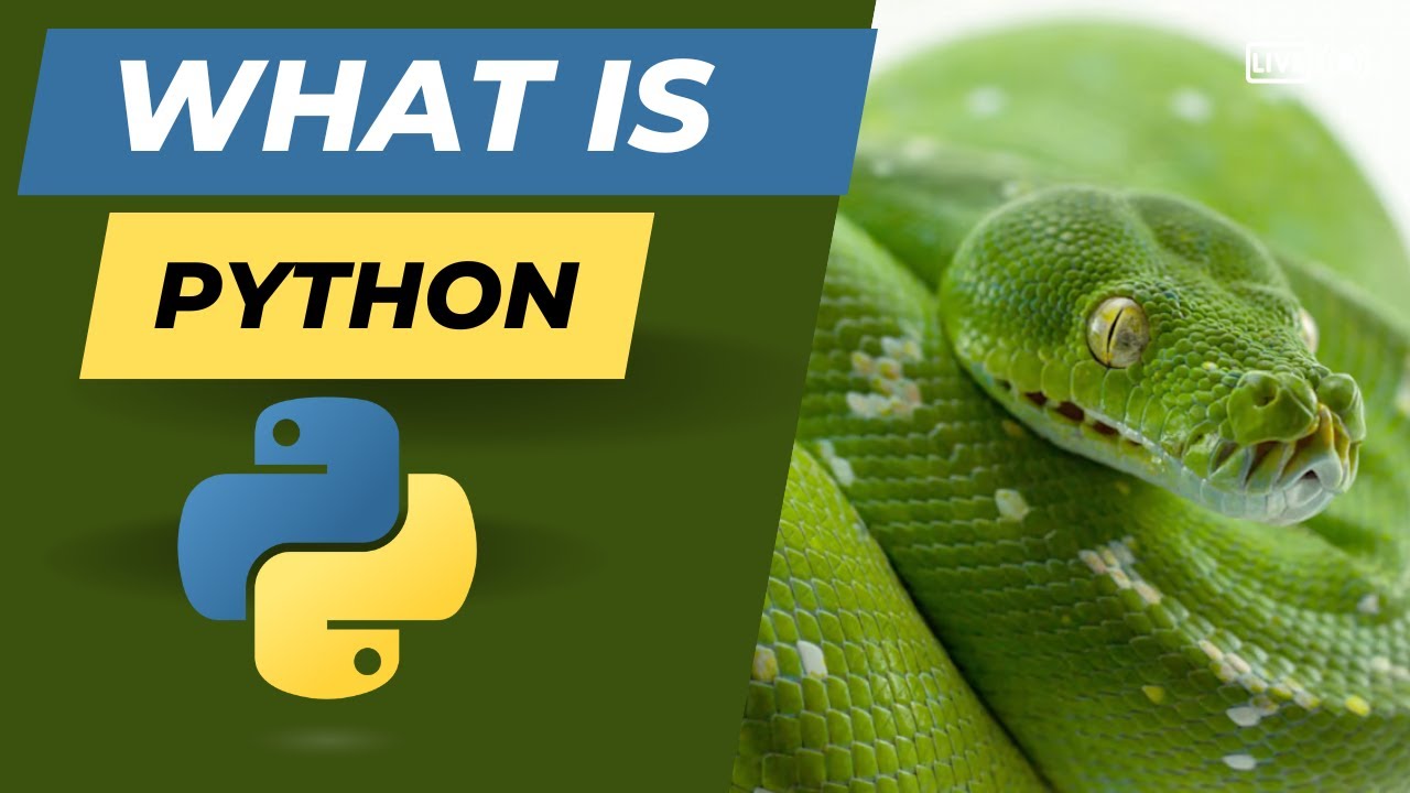 What Is Pythonπ Introduction To Python Why Python Is So Popular 4402