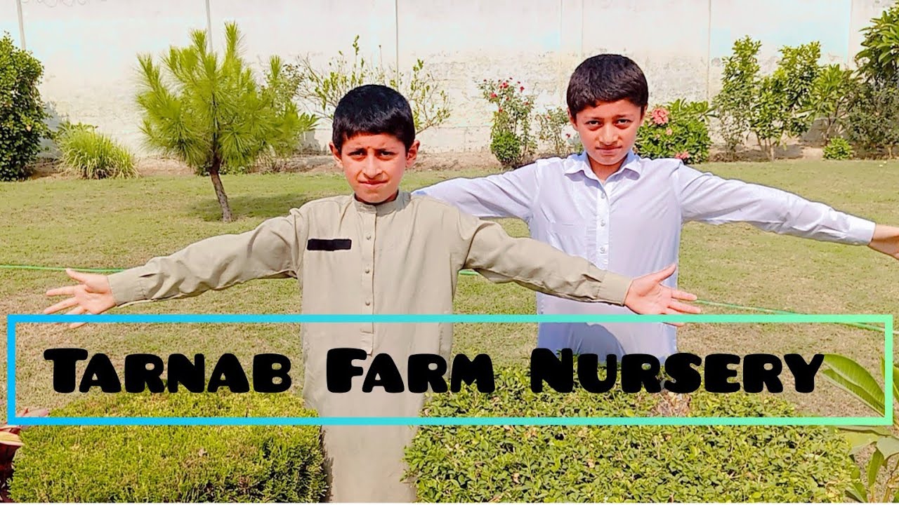 Beautiful Plants for your home,Tarnab Form Nursery - YouTube