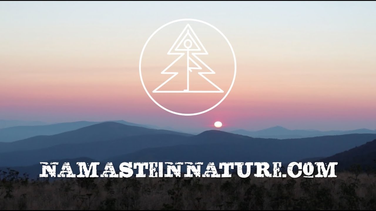 Namaste in Nature Outdoor Yoga + Hiking + Meditation in Asheville, NC ...
