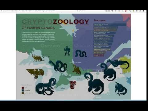 Cryptozoology in Canada: an animated website - YouTube