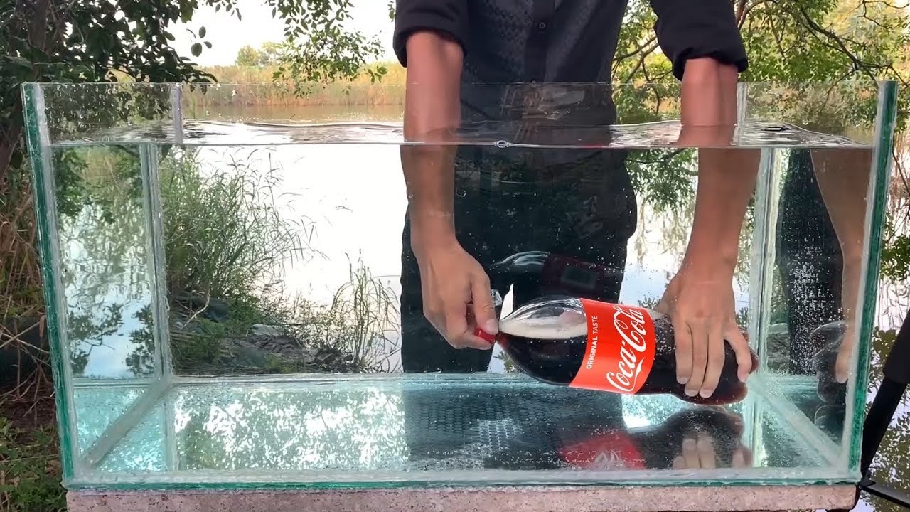 EXPERIMENT: Open Coca Cola in a fish tank - YouTube