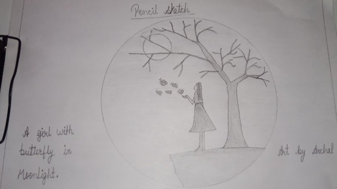 Pencil sketch drawing || How to draw a girl with butterfly in moonlight ...
