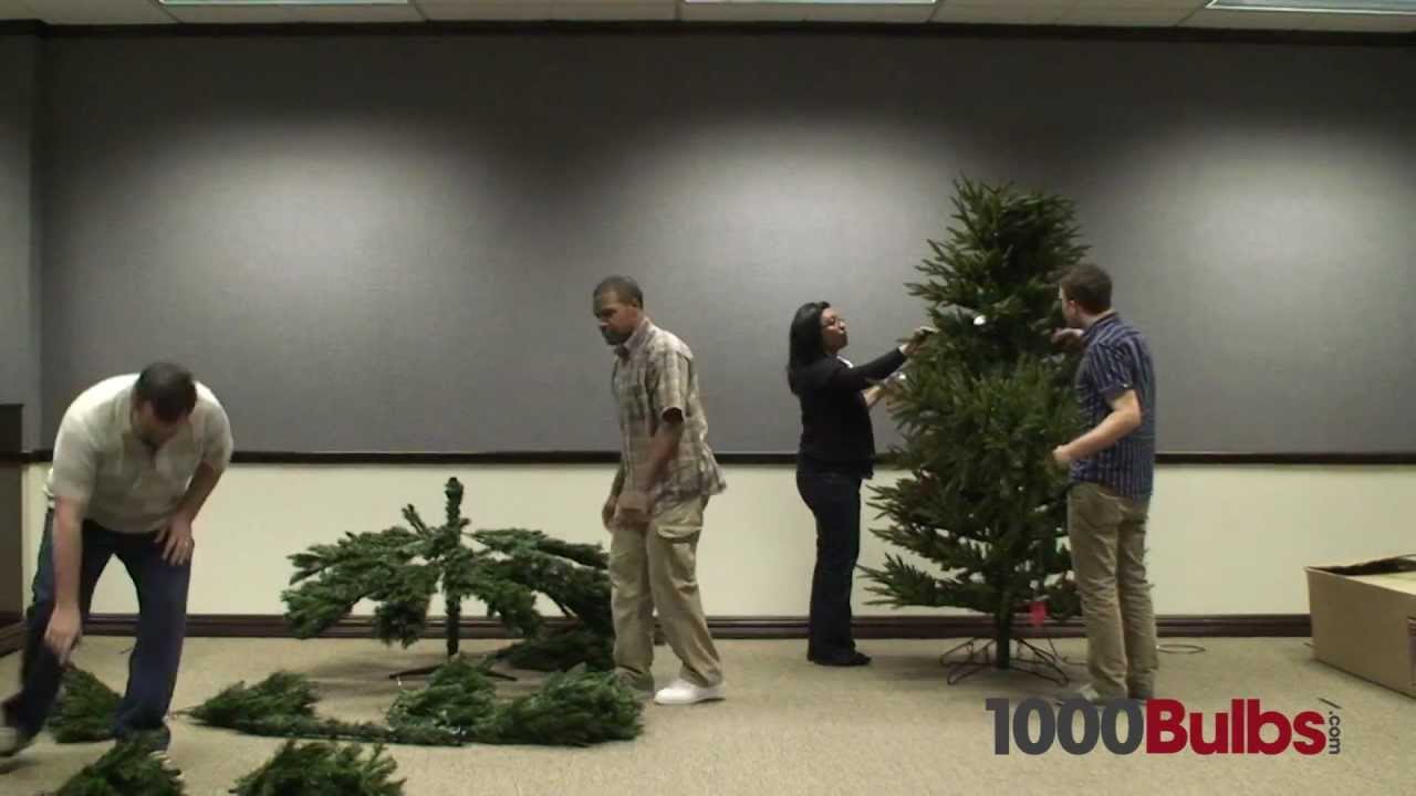 Christmas Tree Setup Comparison - YouTube