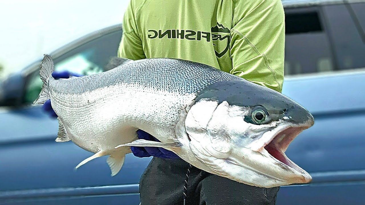 SKAMANIA SUMMER [TROUT is 🔥 HERE 🔥] #viral #subscribe #fishing # ...