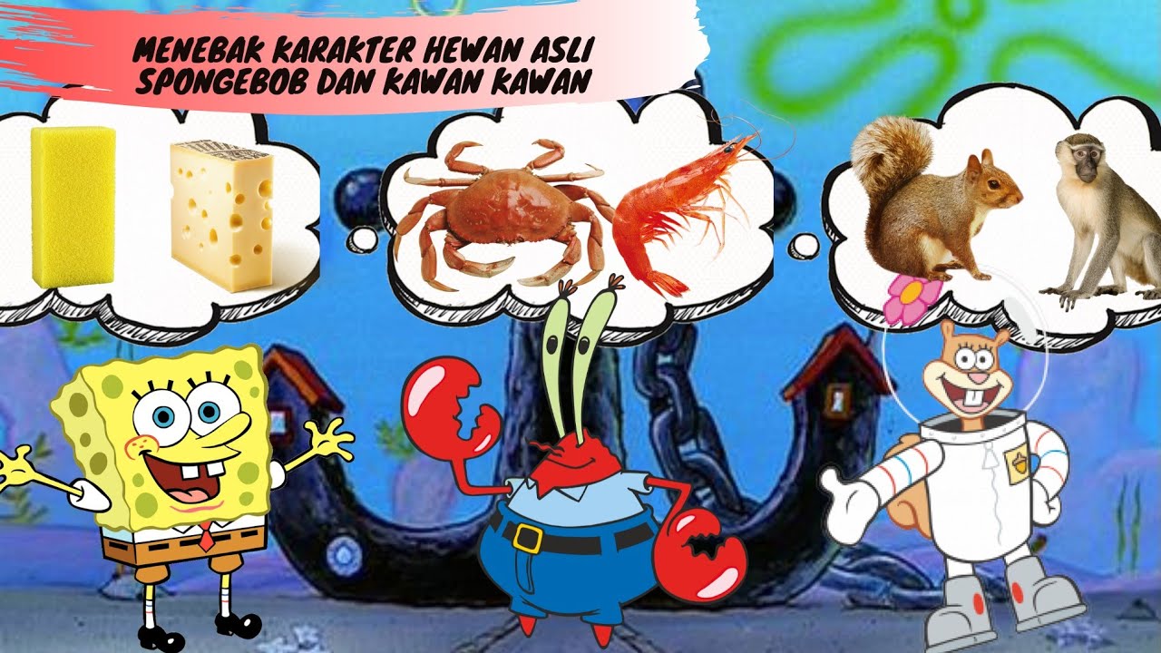 Menebak Karakter Hewan Asli Spongebob Dan Kawan Kawan, Spongebob ...