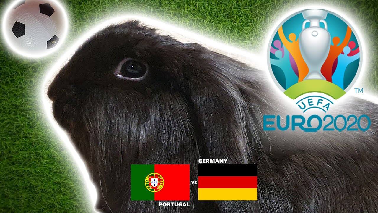 UEFA Euro 2020 | Portugal vs Germany | Bunny Rabbit Football Soccer ...