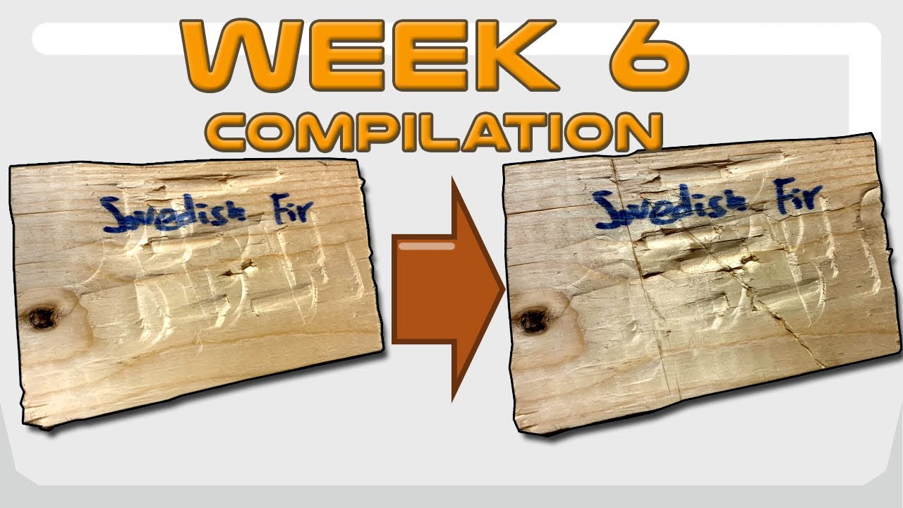 Beating Wood (Swedish Fir) Every Day with a Hammer, Week 6 - YouTube