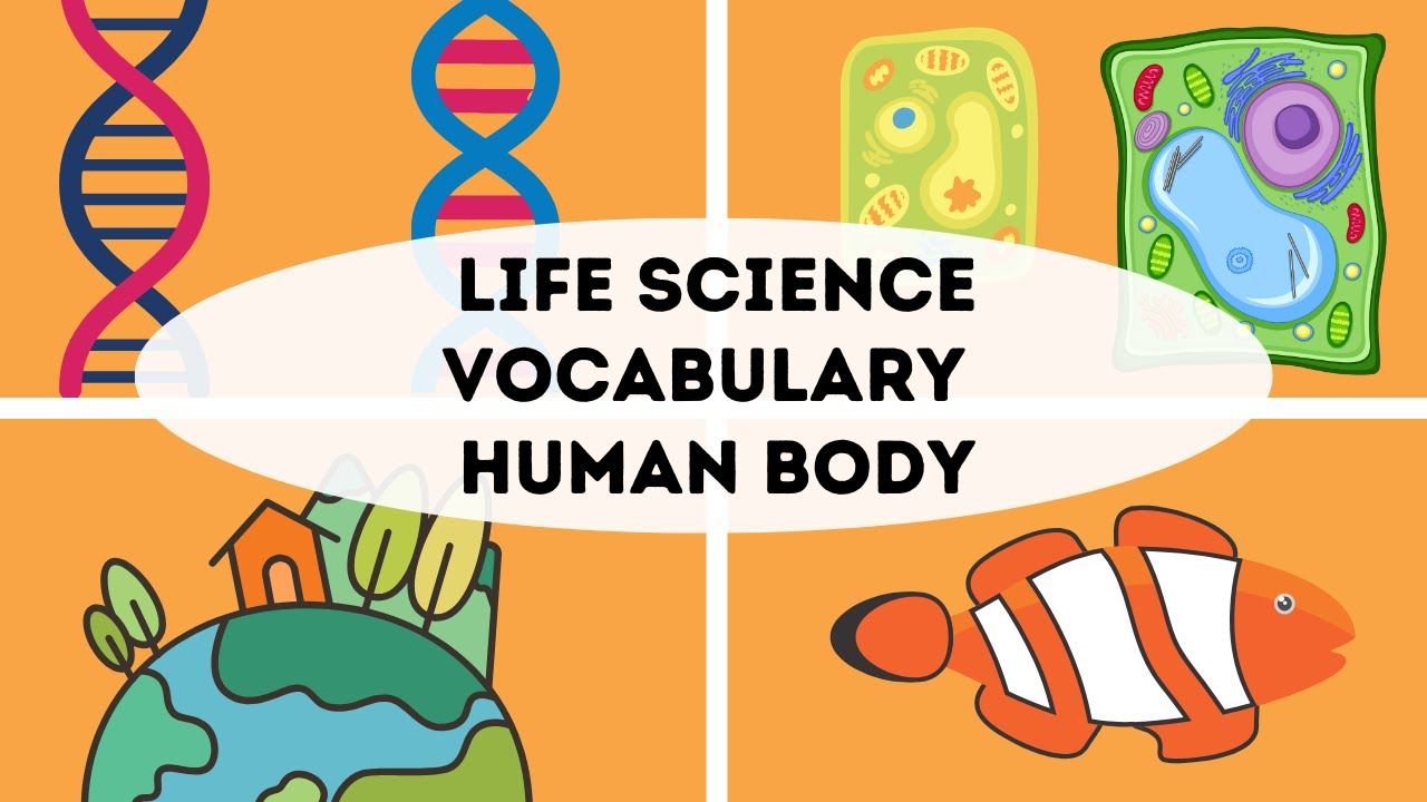 Life Science Vocabulary week 9 - YouTube