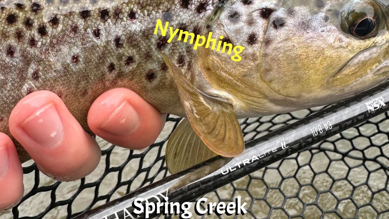 Fishing Spring Creek | Tight Line Nymphing | Fishing Central ...
