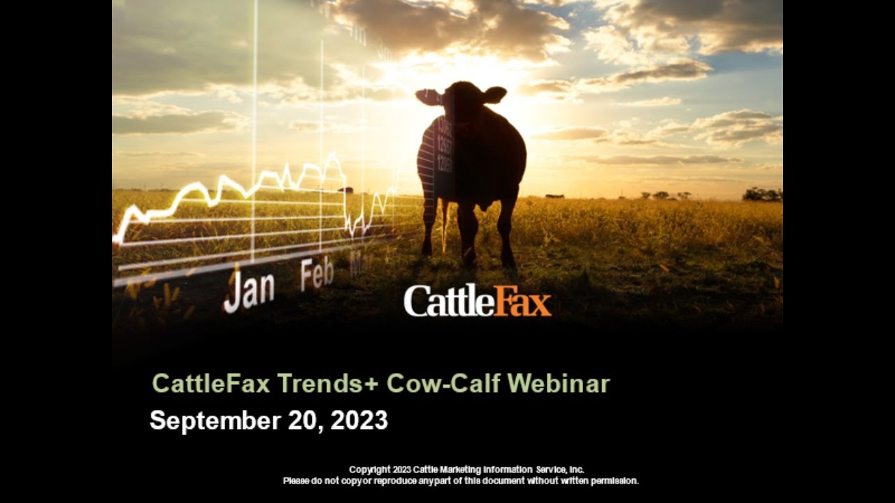 CattleFax Trends+ Webinar September 20, 2023 - YouTube