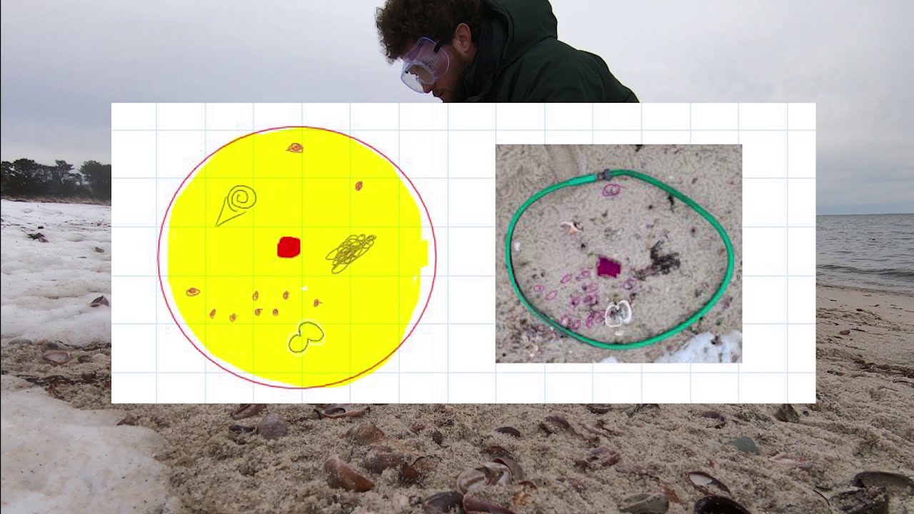 Quadrant Sampling at the beach: The Hose Hula Hoop Method - YouTube