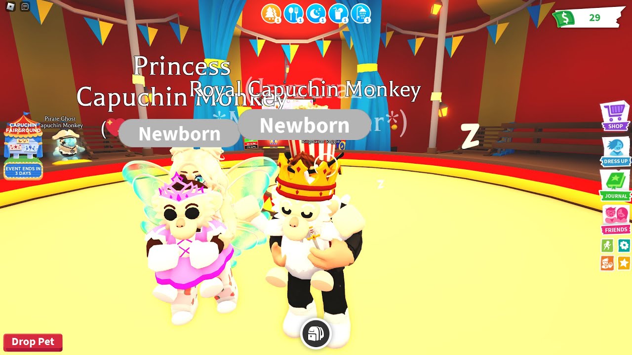 OPENING OVER 100 CAPUCHIN MONKEY BOXES in ADOPT ME ROBLOX - YouTube