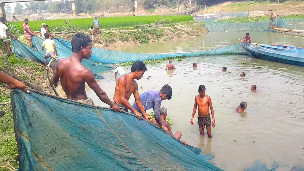 Best river fishing - catching fish using net in the river - YouTube