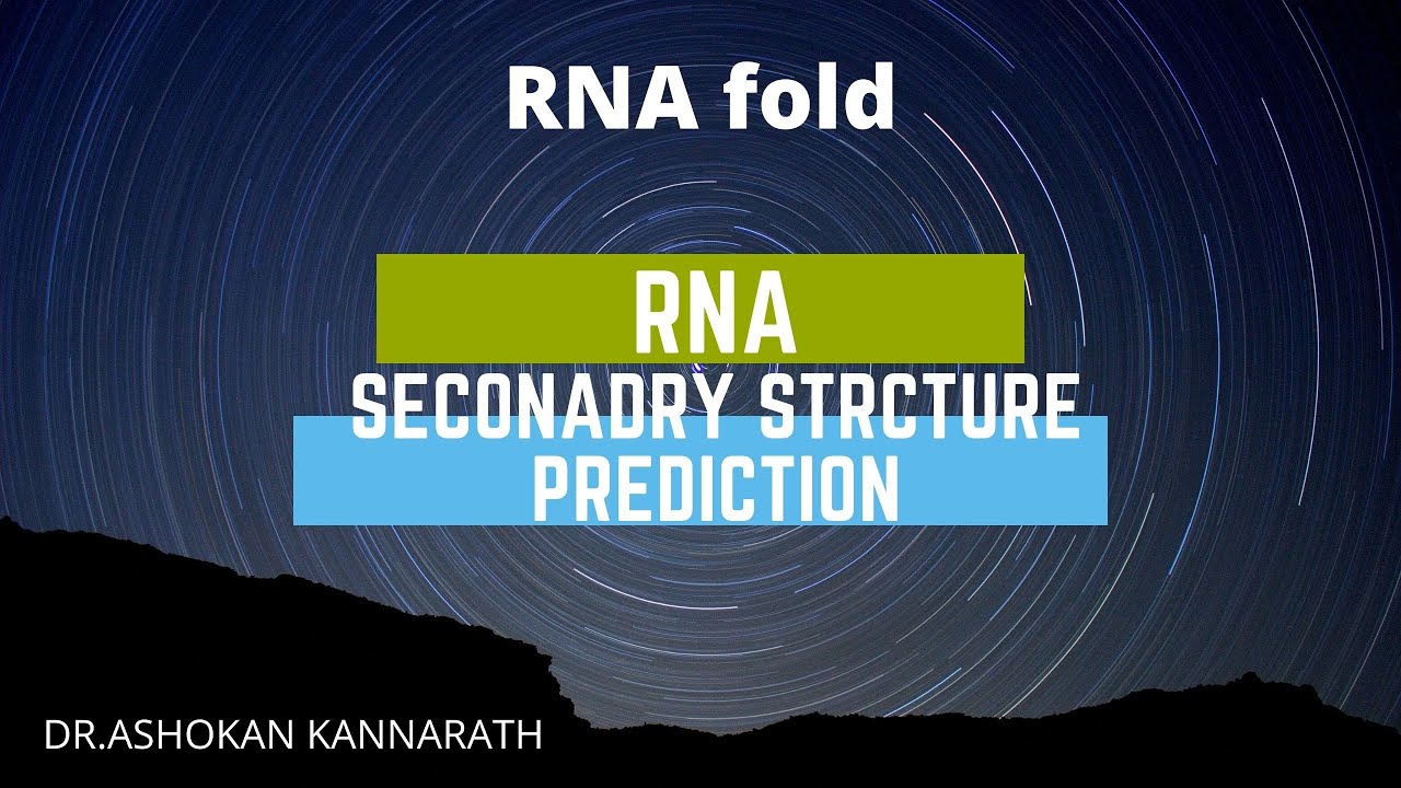 RNA secondary Structure Prediction - YouTube